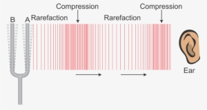 When These Waves Of Compression And Rarefactions Of - Diagram PNG Image ...
