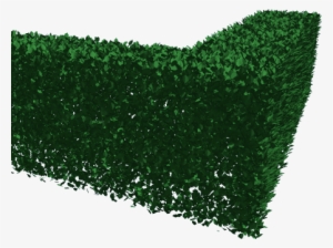 Cadimage Blog » Object Of The Week - Hedge Archicad PNG Image ...