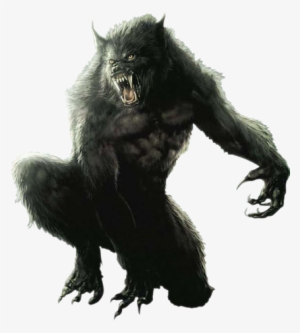 Werewolf Png PNG Image | Transparent PNG Free Download on SeekPNG