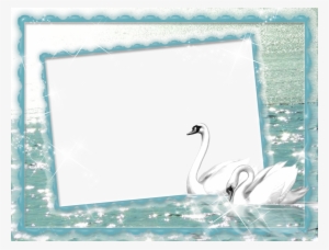 Swan Frame PNG Image | Transparent PNG Free Download on SeekPNG