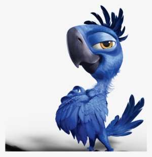 Rio 2 Kids Names
