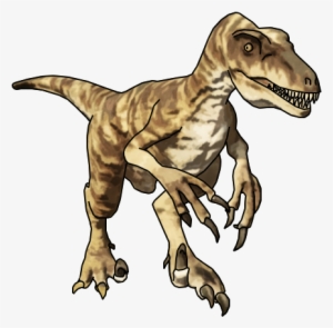 Dinosaurs Drawing Raptor - Raptor Drawing PNG Image | Transparent PNG ...