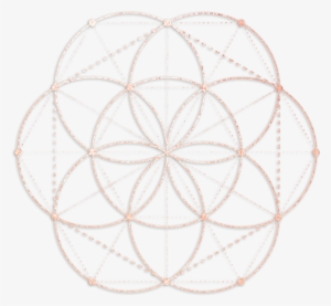 Crystal Grid For Abundance Seed Of Life - Circle PNG Image ...
