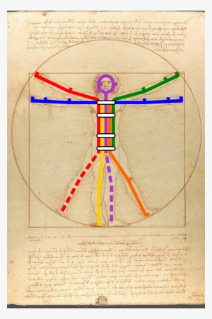 Symbols That Represent Leonardo Da Vinci PNG Image | Transparent PNG ...