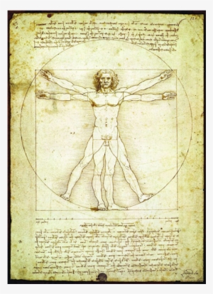 Symbols That Represent Leonardo Da Vinci PNG Image | Transparent PNG ...