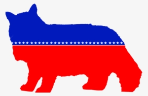 Smug Cat Meme Transparent PNG Image | Transparent PNG Free Download on ...