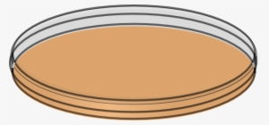 Petri Dish Clip Art At Clker - Sketsa Petridish PNG Image | Transparent ...