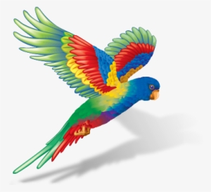 Flying Colours Printing PNG Image | Transparent PNG Free Download on ...