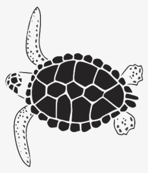 Turtle Graphic - Turtle Graphics PNG Image | Transparent PNG Free ...