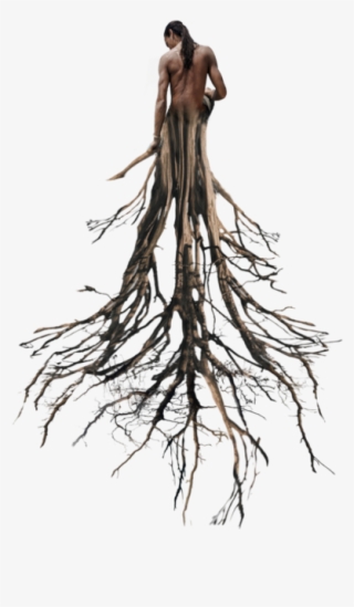 Man Tree Png Stock Floating Island Surreal Figure By - Tree Roots Png ...