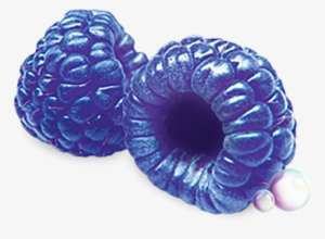 Blue Raspberry Png Clip Free - Blue Raspberry Transparent PNG Image ...