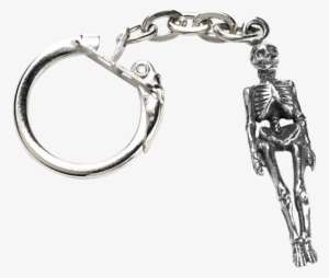 Skeleton Key Ring - Keychain PNG Image | Transparent PNG Free Download ...