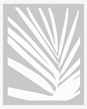 Palm Leaf Stencils PNG Image | Transparent PNG Free Download on SeekPNG