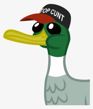 Baseball Cap, Duck, Hat, Op, Op Is A Duck, Reaction - Duck With Gun Png ...