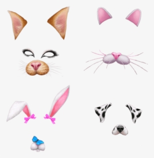 Snapchat Filters Transparent Png Images - Snapchat Filter Png Cat PNG ...