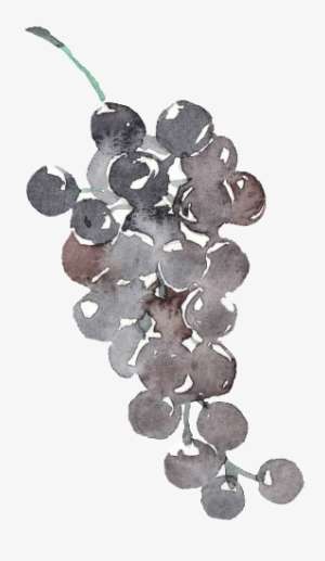 Creative Grape Design Transparent Watercolor - Design PNG Image ...
