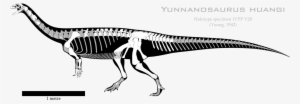 Explore These Ideas And More - Yunnanosaurus PNG Image | Transparent ...