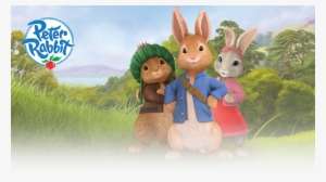 Peter Rabbit PNG Images | PNG Cliparts Free Download on SeekPNG