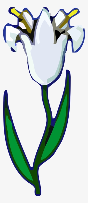 File White Wikimedia Commons Open - Scalable Vector Graphics PNG Image ...