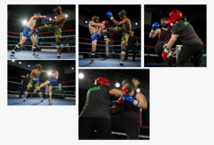 Picture - Professional Boxing PNG Image | Transparent PNG Free Download ...