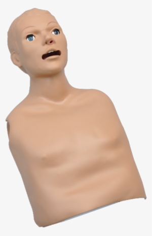 Fully Articulating Head - Cpr Dummies PNG Image | Transparent PNG Free ...