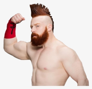 Sheamus - Sheamus Png PNG Image | Transparent PNG Free Download on SeekPNG