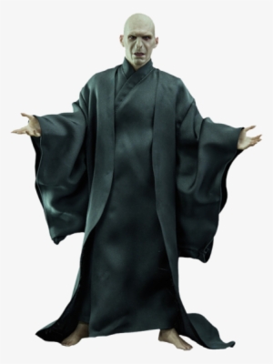 Lord Voldemort - Lord Voldemort Full Body PNG Image | Transparent PNG ...