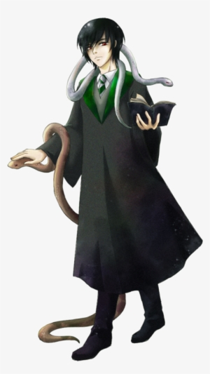 Tom Riddle - Lord Voldemort Christian Coulson PNG Image | Transparent ...