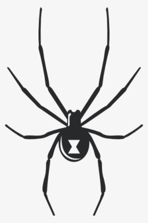 Graphic Transparent Library Black Widow Spider Halloween - Black Widow ...
