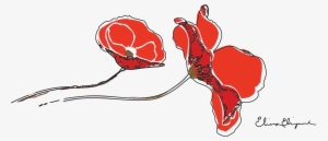 Illustrator - Photoshop - Design PNG Image | Transparent PNG Free ...