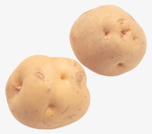Potato Png Images, Pictures, Free Download - Potato Png PNG Image ...
