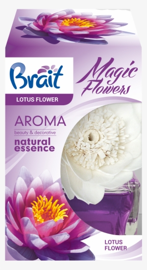 Brait Magic Flower PNG Image | Transparent PNG Free Download on SeekPNG