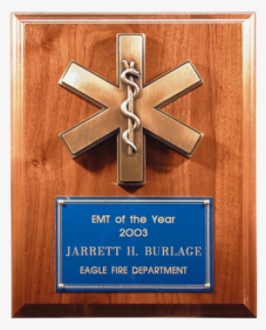 Star Of Life Logo With Design PNG Image | Transparent PNG Free Download ...