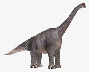 Brachiosaurus - Wiki PNG Image | Transparent PNG Free Download on SeekPNG