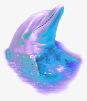 15 Vaporwave Dolphin Png For Free Download On Mbtskoudsalg - Vaporwave ...