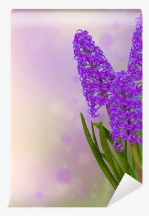 Purple Flowering Hyacinth Border Wall Mural • Pixers® - Stock ...