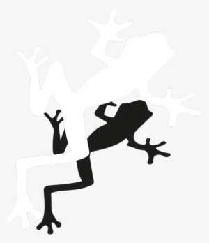 White Frog Shadow - Bufo PNG Image | Transparent PNG Free Download on ...