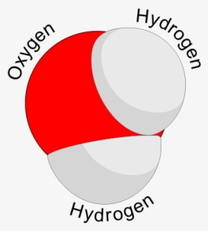 Vibrational Modes Of A Water Molecule - 3 Vibrational Modes Of Water ...