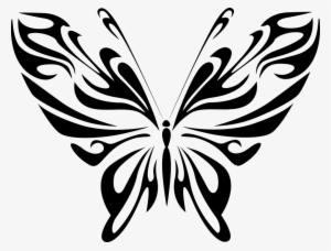 Butterfly Line Art Png PNG Image | Transparent PNG Free Download on SeekPNG