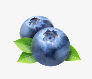 Blueberry Bush - Blueberry Bush Png PNG Image | Transparent PNG Free ...