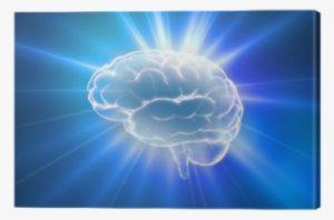 Brain Waves PNG Image | Transparent PNG Free Download on SeekPNG