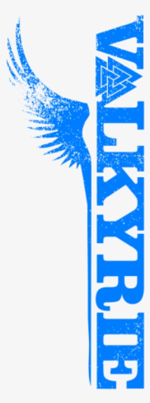 Valkyrie PNG Image | Transparent PNG Free Download on SeekPNG