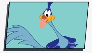 Road Runner Cartoons Png PNG Image | Transparent PNG Free Download on ...