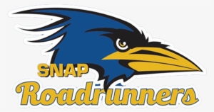 Roadrunner Logo On Blue - Roadrunner Bird Cartoon PNG Image ...