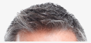 Digital Transformation - Grey Hair Png PNG Image | Transparent PNG Free ...