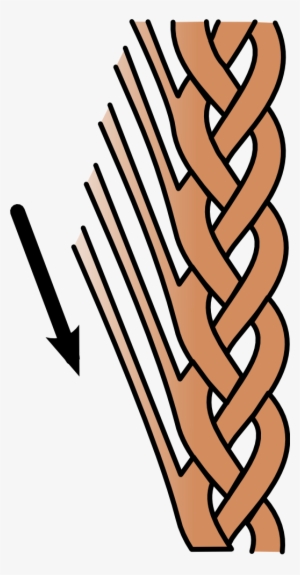 Lace Braid Graphic - Braid PNG Image | Transparent PNG Free Download on ...