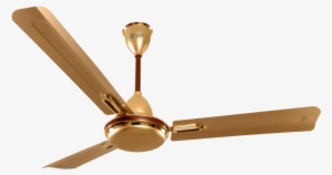 Orient Fan Quasar Ornamental Gold Chocolate 1200 Mm - Orient Quasar ...