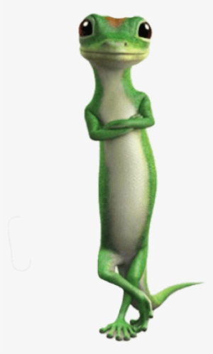 Share This Image - Geico Gecko PNG Image | Transparent PNG Free ...