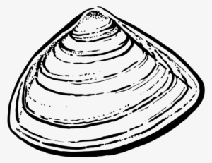 Picture Free Download Tua Cloudy Bay Clams Diamond - Clams Black And ...