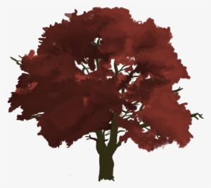 Swamp Maple PNG Image | Transparent PNG Free Download on SeekPNG